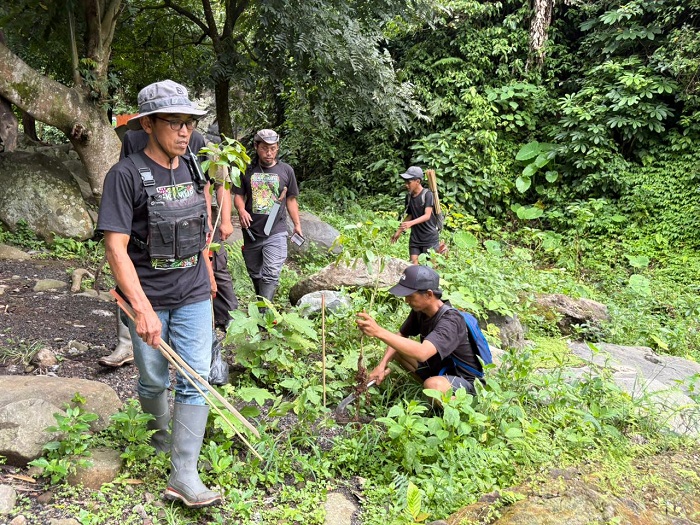Jaga Ekosistem, Ratusan Tanaman Ficus Ditanam di Lereng Muria - Joglo ...