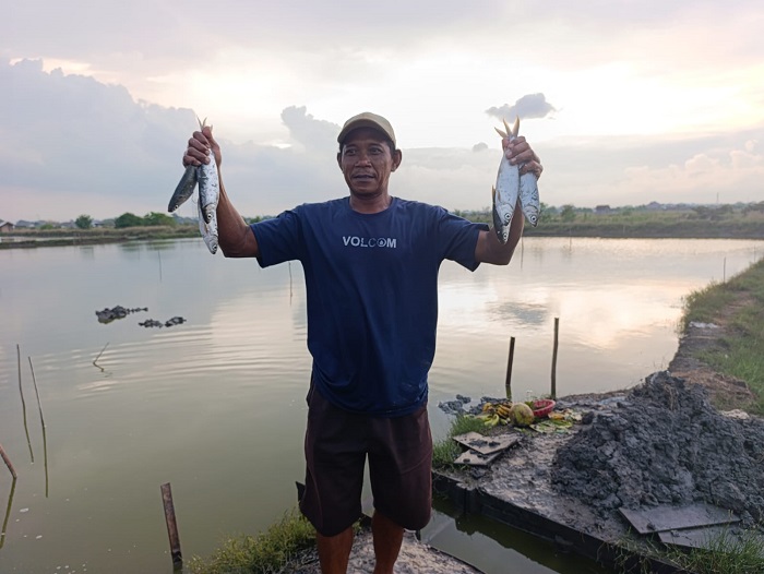 Pati Gelar Festival Berkat Bandeng 2025, Bangkitkan Kesadaran Ekologi ...
